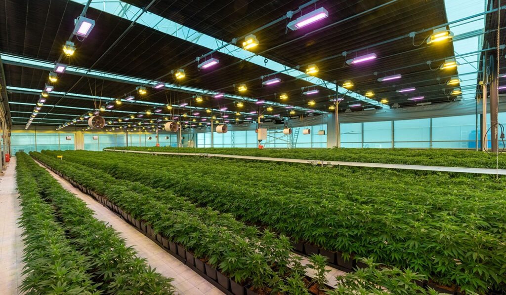 About us - Linneo Health